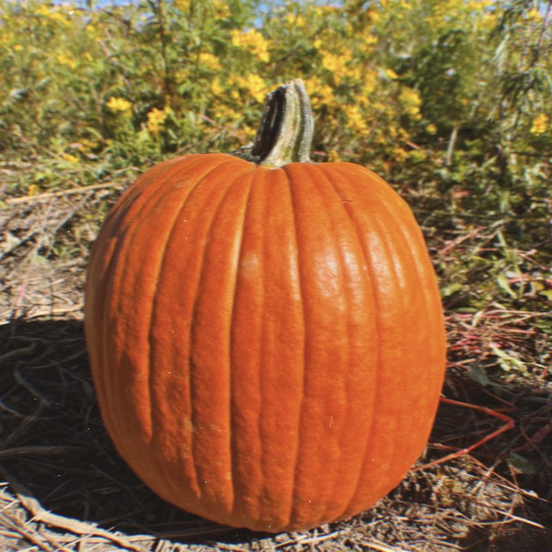 How to enter your Villain Era (and why you should) - The Gorgeous Life